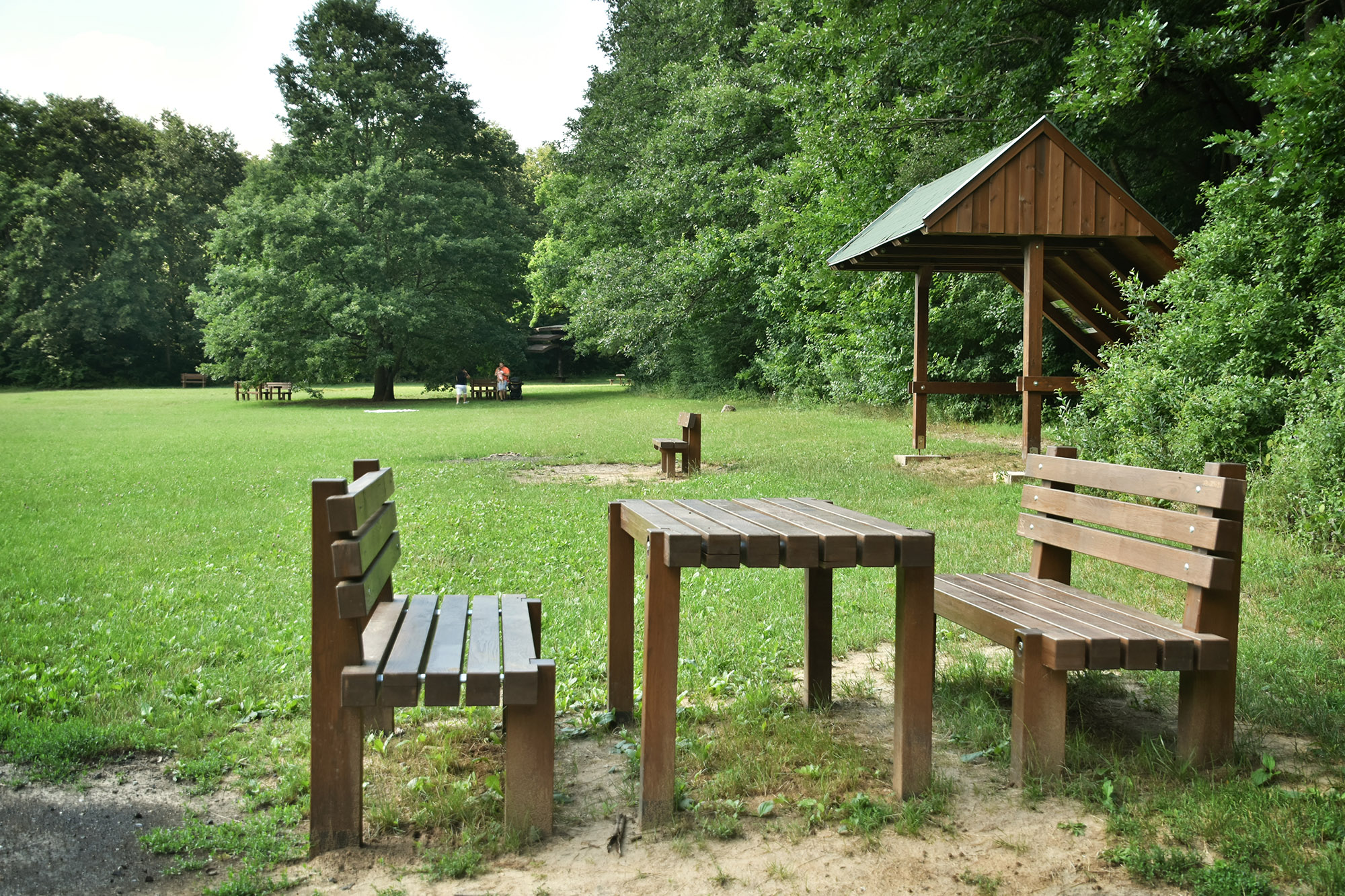 Megújul a Szilfa-tisztás - Ring Magazin